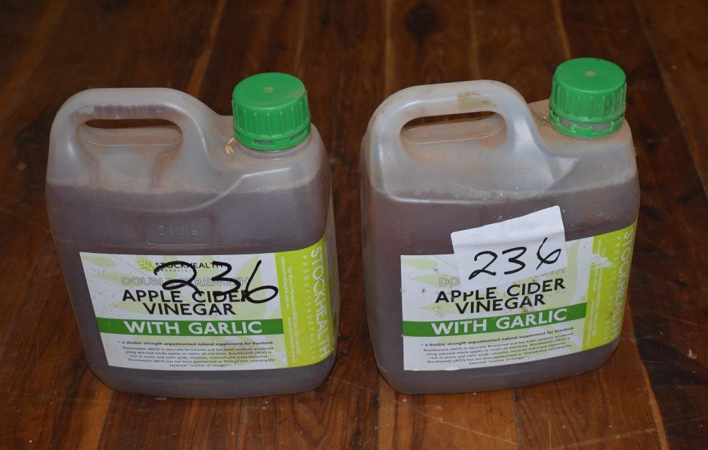 Lot 236 - 2 x 2L of apple cider with garlic | AuctionsPlus