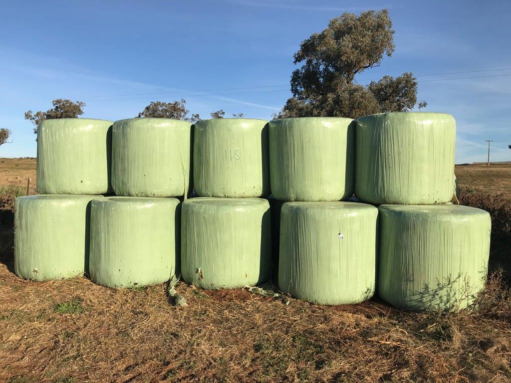Lot 118 - 15 x Lucerne clover and pasture silage bales | AuctionsPlus