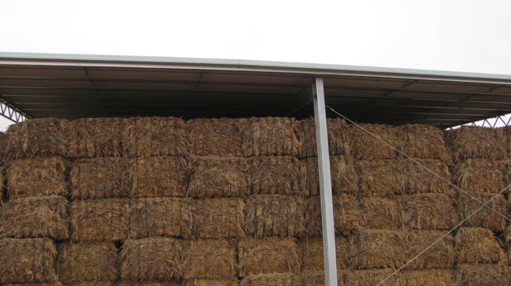 Lot 30 - 64 8' x 4' x 3' Bales of Oat and Vetch Hay | AuctionsPlus