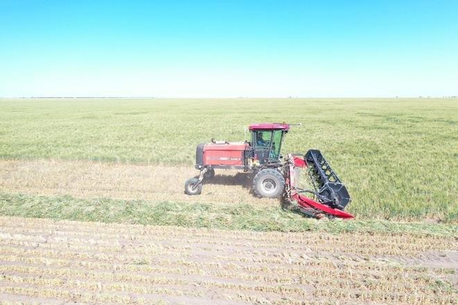 Lot 6 - Case WDX 1701 Windrower with 30ft Case / Honeybee Front on Comb ...