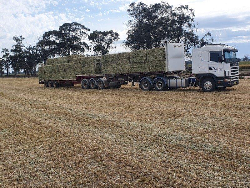 Lot 29 - Oaten Silage With A Trace Of Vetch | AuctionsPlus