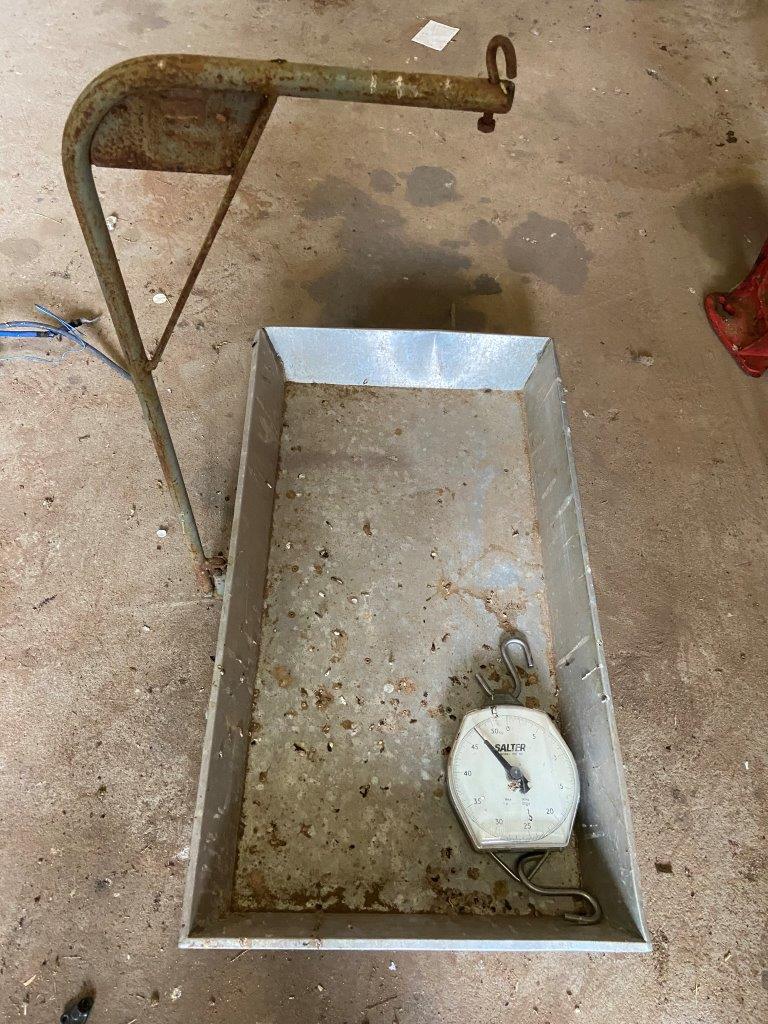 Lot 34 - Salter Wool Scales | AuctionsPlus