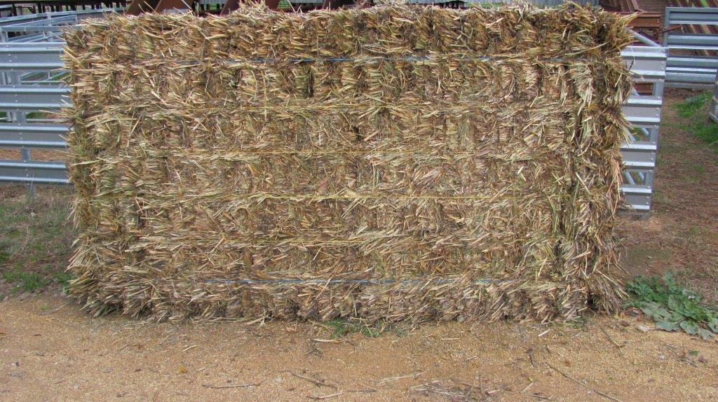Lot 10 - 10 8' x 4' x 3' Bales of Oat and Vetch Hay | AuctionsPlus