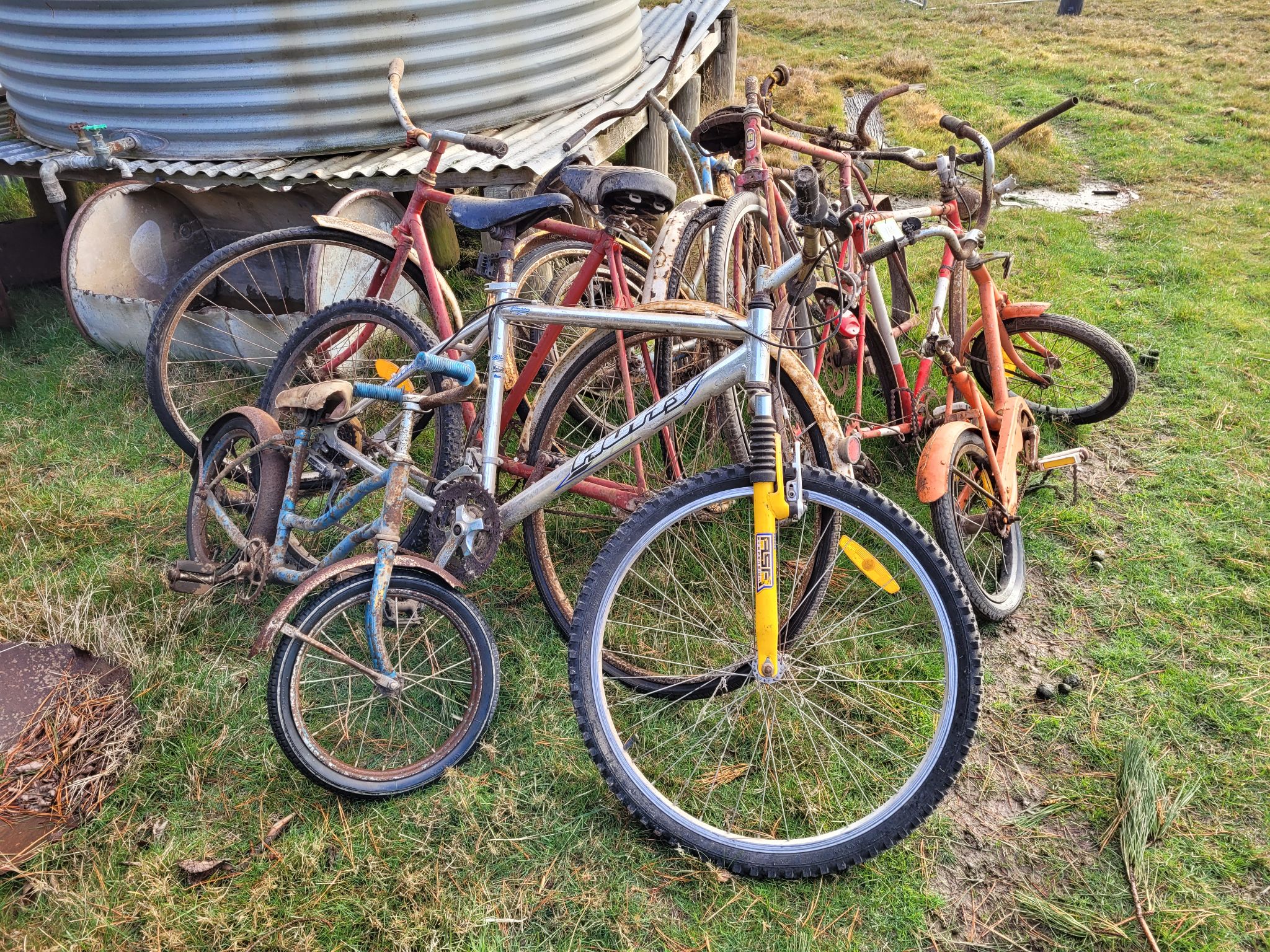 Lot 166 - Assorted Push Bikes | AuctionsPlus