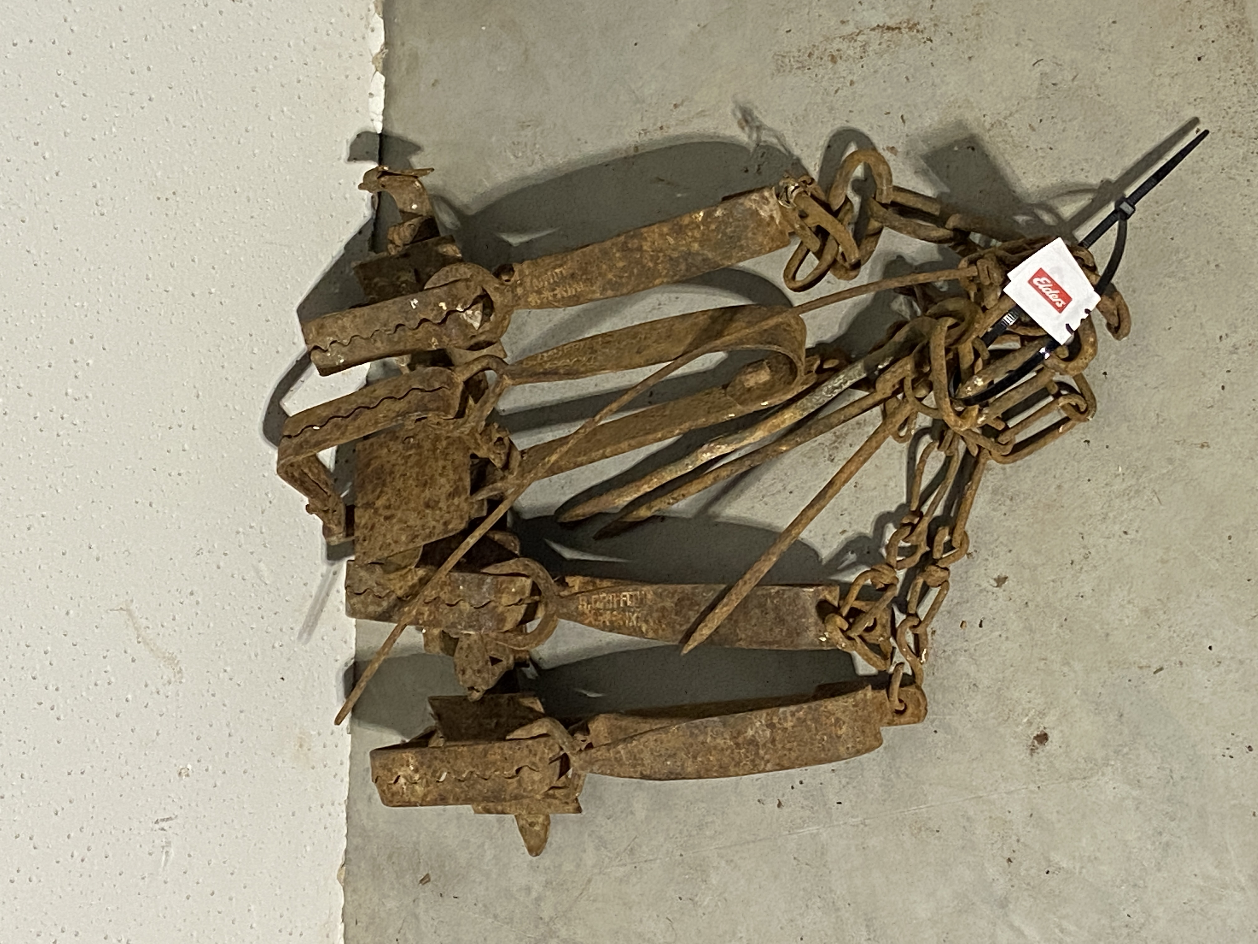 Lot 349 - 4x Griffiths Rabbit Restraints | AuctionsPlus