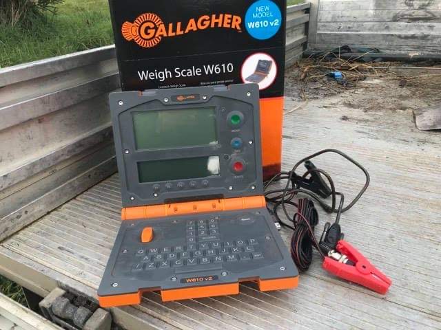 Lot 233 - Gallagher Weigh Scale W610 | AuctionsPlus