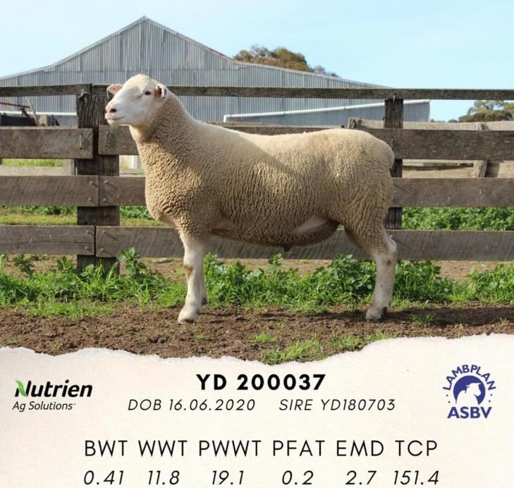 Lot 3 - YD 200037 | AuctionsPlus