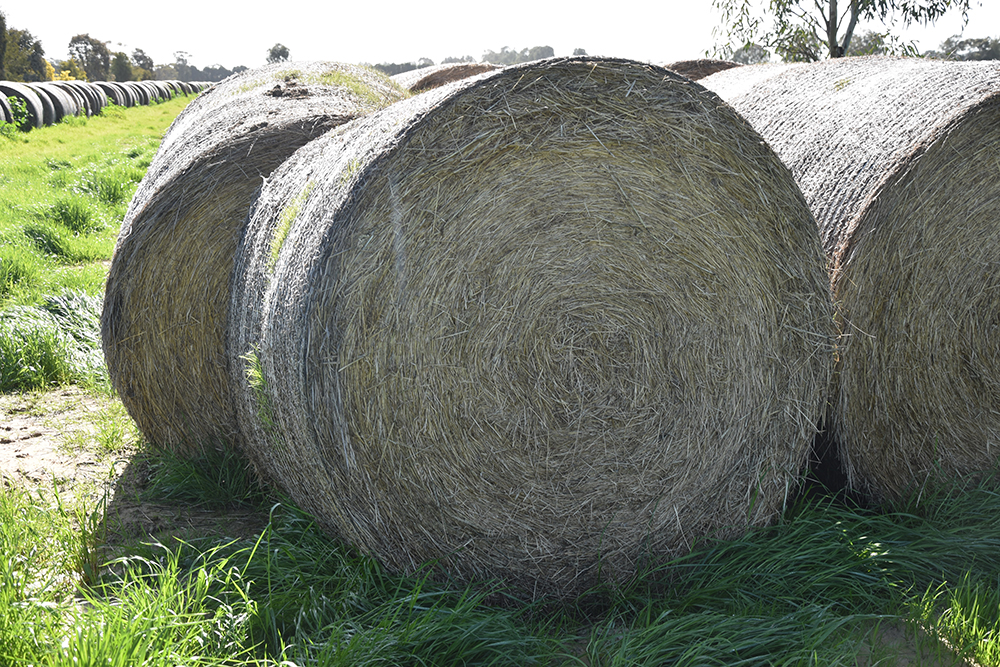 Lot 86 - 10 Rolls Pasture Hay (2020) | AuctionsPlus
