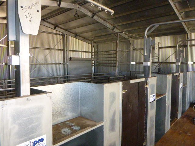 116 - Stock Pro Shearing Module | AuctionsPlus