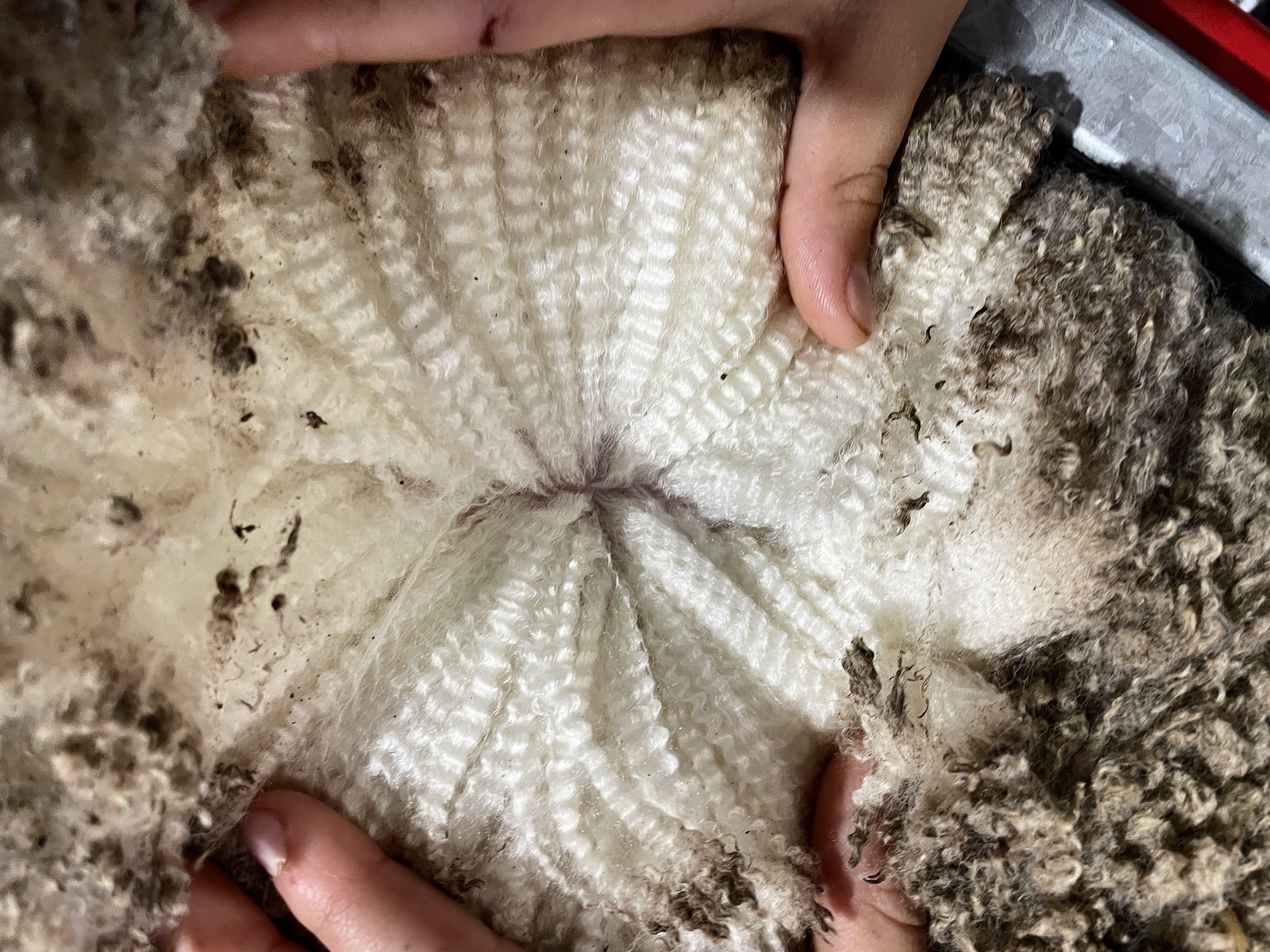 Lot 25 - 1068 | AuctionsPlus