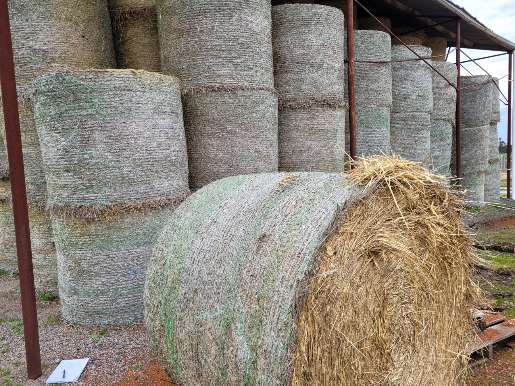 Lot 54 - Shedded Wheat Hay | AuctionsPlus