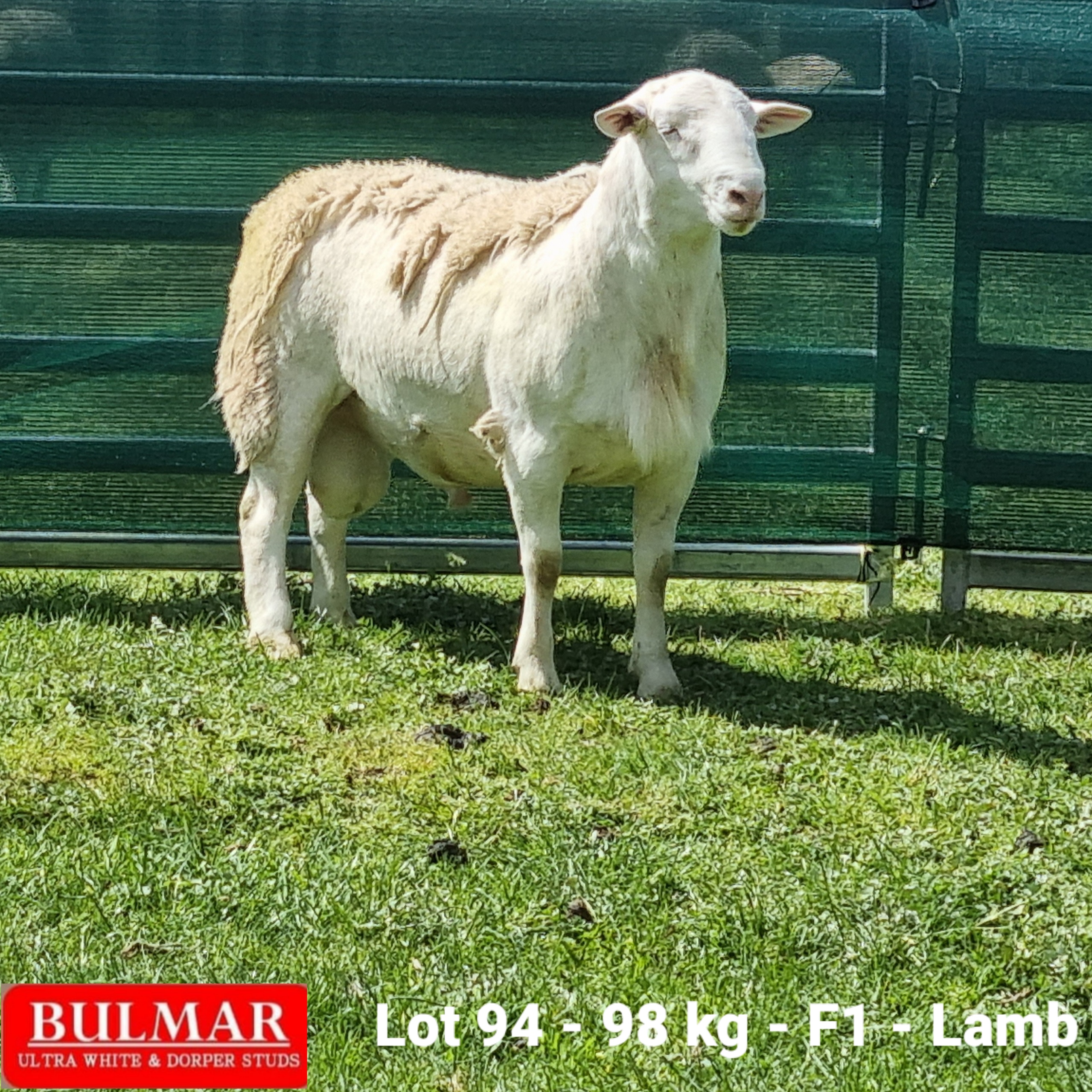 Lot 94 - BULMAR WHITE 200295 | AuctionsPlus