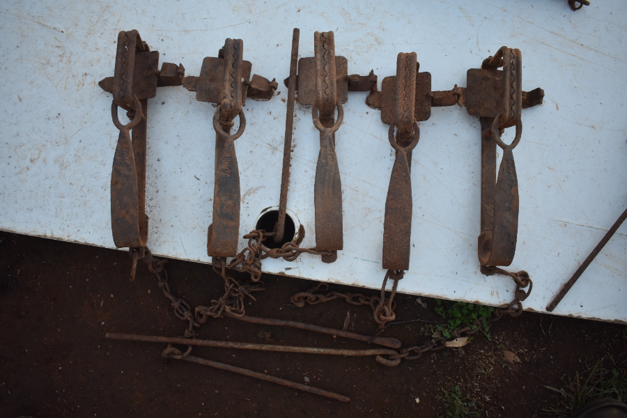 Lot 161 - 5x Bunyip rabbit traps (antique) | AuctionsPlus