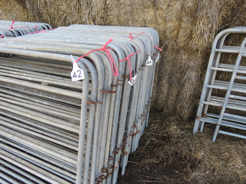 Lot 45 - 10 x SHEEP PEN GATES 1.2M x 1M | AuctionsPlus