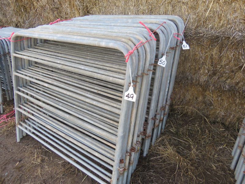 Lot 49 - 10 x SHEEP PEN GATES 1.2M x 1M | AuctionsPlus
