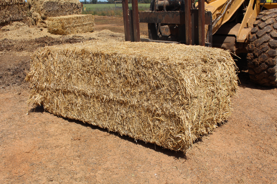 Lot 137 - 62 x bales of moby barley hay | AuctionsPlus
