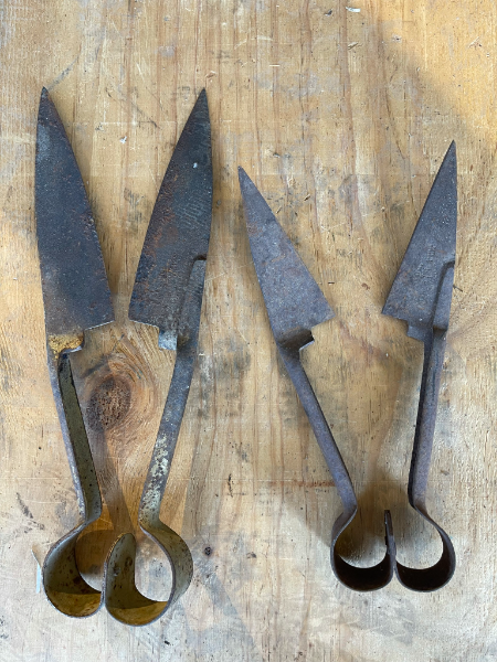 Lot 96 - Mulesing/ Dagging Shears | AuctionsPlus