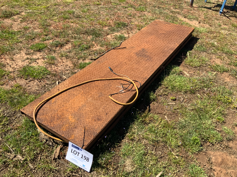 Lot 198 - Thunderbird cattle scales & platform | AuctionsPlus