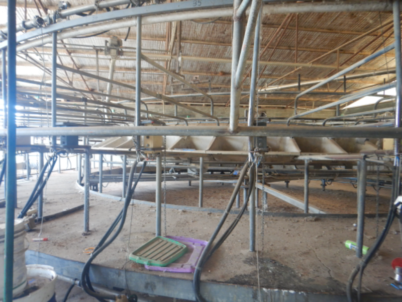 Lot 194 - 50 Cow Rotary Dairy | AuctionsPlus