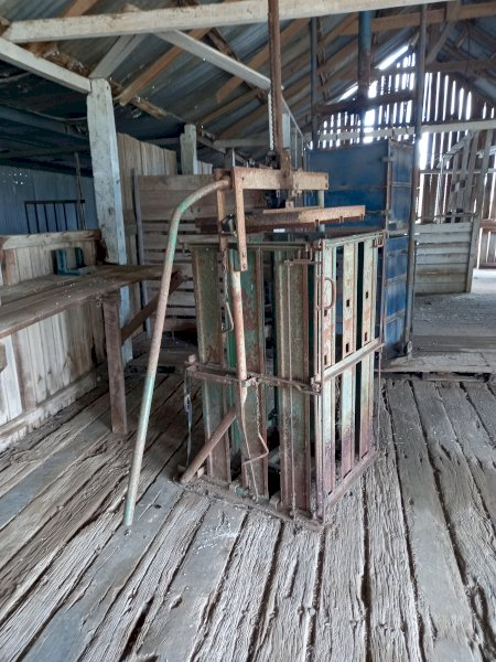 Lot 57 - Sunbeam Levermatic Wool Press | AuctionsPlus