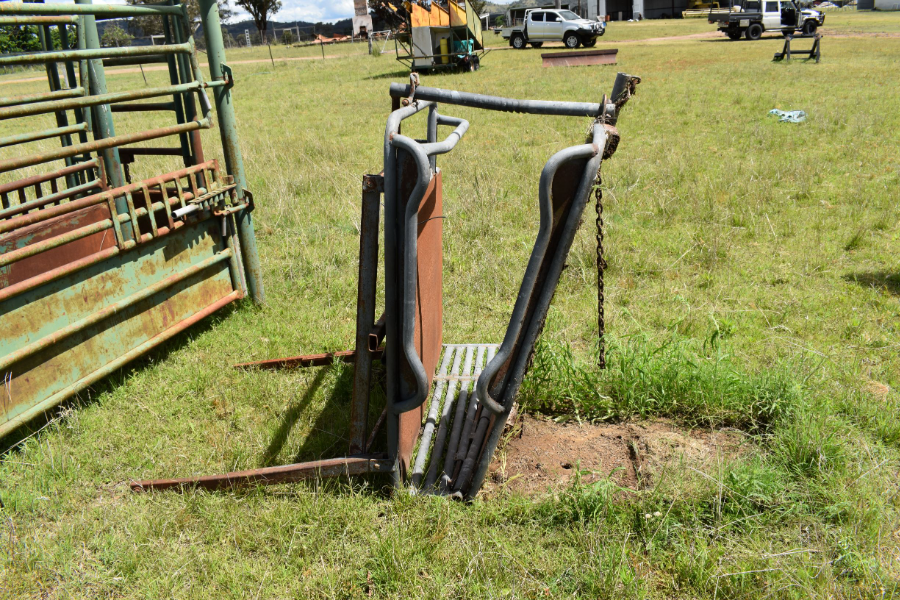 Lot 80 - CALF CRADLE | AuctionsPlus