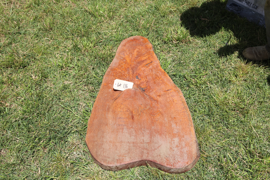 Lot 116 - Timber Slab | AuctionsPlus