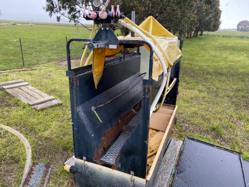 Lot 121 - Aussie Sheep Jetter | AuctionsPlus