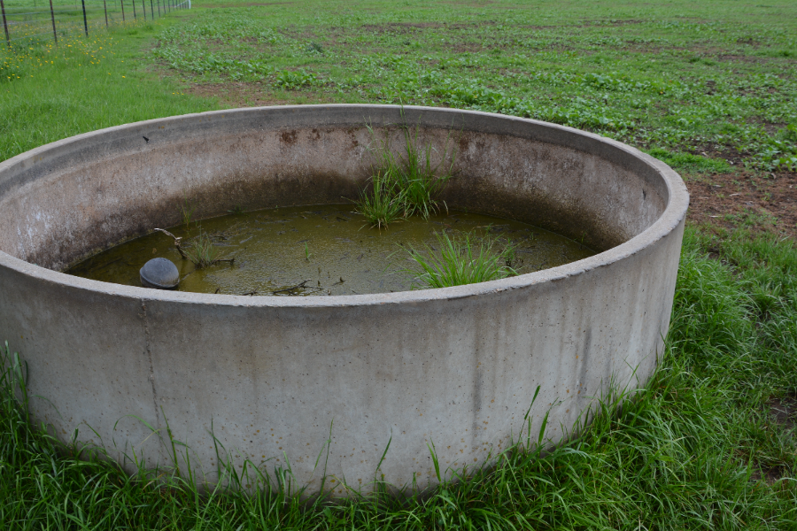 Lot 78 - Concrete troughs x 2 | AuctionsPlus