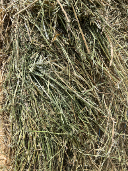 Lot 45 - Lucerne Hay | AuctionsPlus