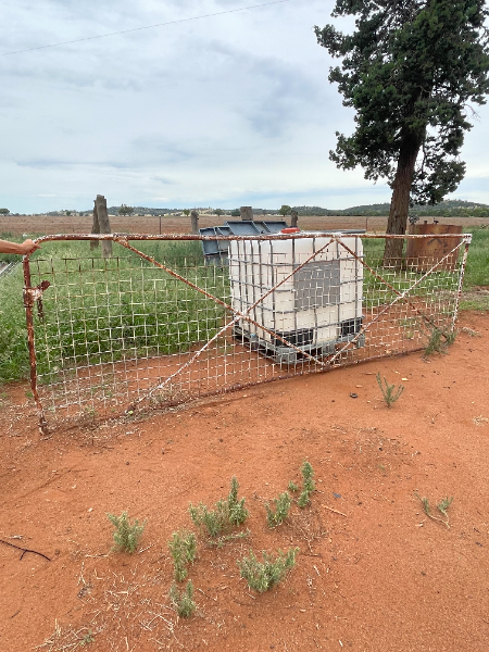 Lot 63 - 1 x Sunshine gate 14 FT painted Steel (white) | AuctionsPlus