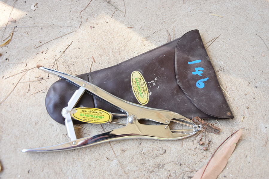 146 - Elastrator | AuctionsPlus