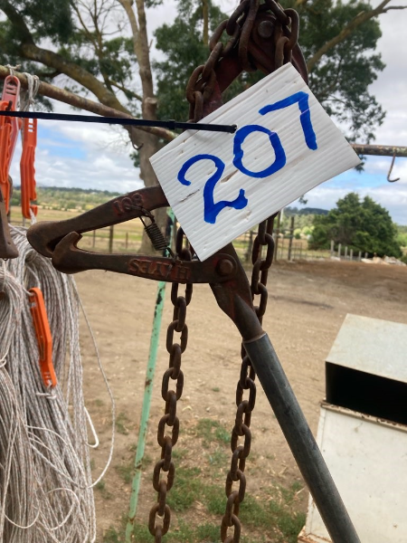Lot 207 - Hayes Wire Strainers | AuctionsPlus