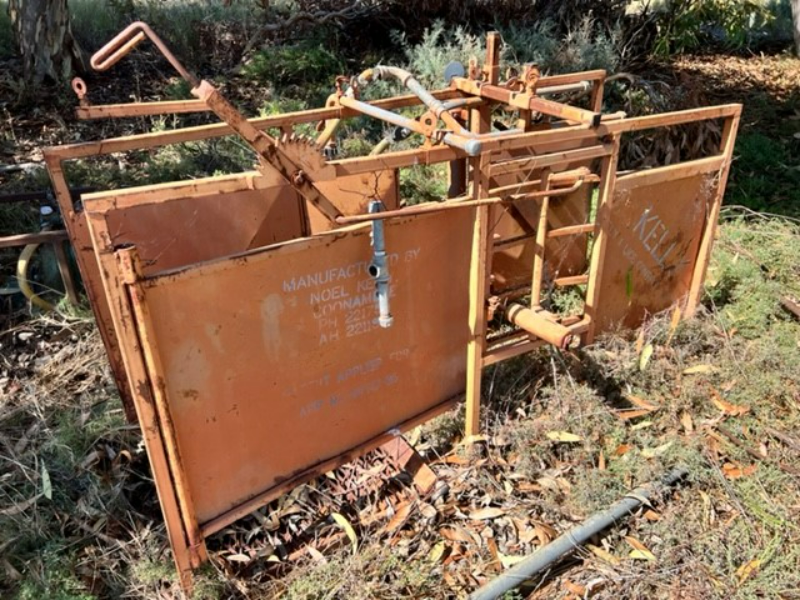 Lot 174 - Sheep Jetter | AuctionsPlus