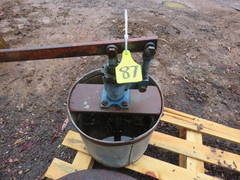 LOT 87 - TEST BUCKET | AuctionsPlus