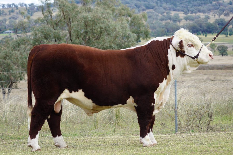 Lot 12 - ECLIPSE PAC-MAN R004 (AI) (P) | AuctionsPlus