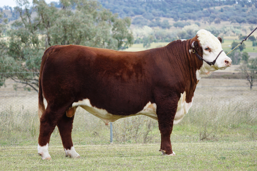 Lot 30 - ECLIPSE RAPTOR R006 (AI) (PP) | AuctionsPlus
