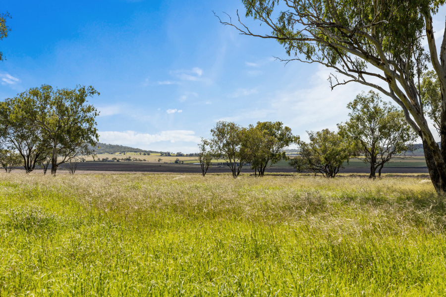 Lot 1 - 'Waiben', Toowoomba, NSW | AuctionsPlus