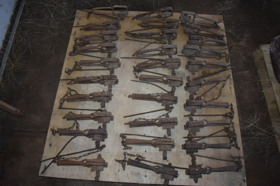 Lot 196 - Antique rabbit traps | AuctionsPlus