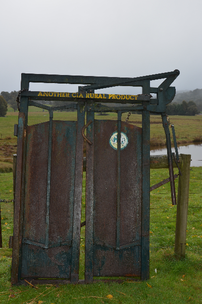 Lot 43 - CIA Head Bale | AuctionsPlus