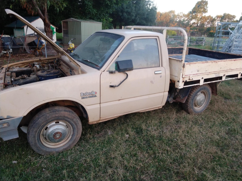 Lot 52 - 1984 holden rodeo ute | AuctionsPlus