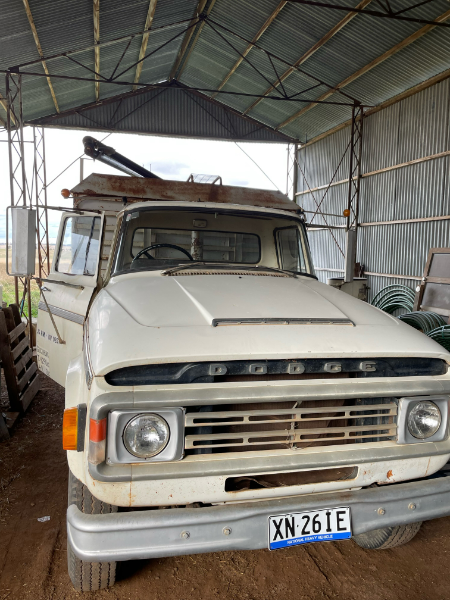 Lot 11 - DODGE 600 TIPPER TRUCK WITH GRAIN BIN | AuctionsPlus