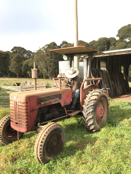 Lot 2 - International Tractor with Jib Crane | AuctionsPlus