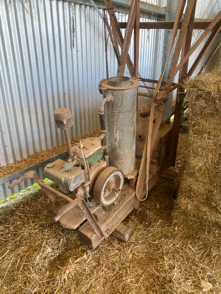 Lot 79 - Antique Shearing Plant | AuctionsPlus