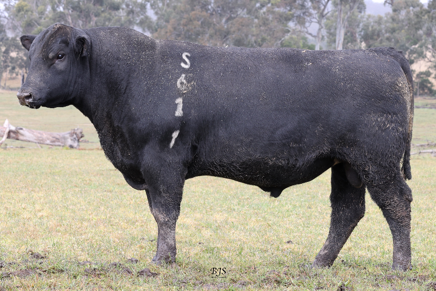 Lot 39 - CIRCLE 8 S611 | AuctionsPlus