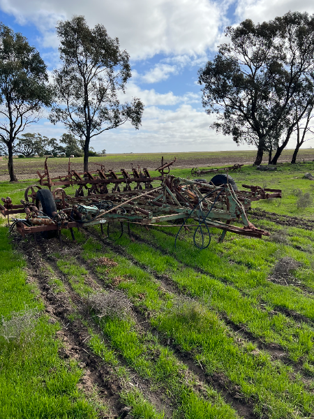 Lot 26 - John Shearer Scarifier | AuctionsPlus