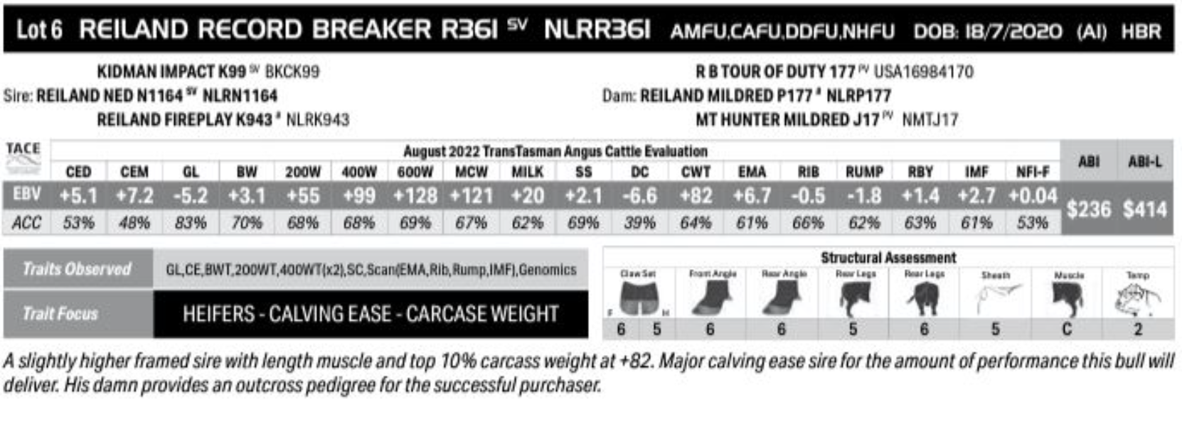 Lot 6 - REILAND RECORD BREAKER R361 | AuctionsPlus
