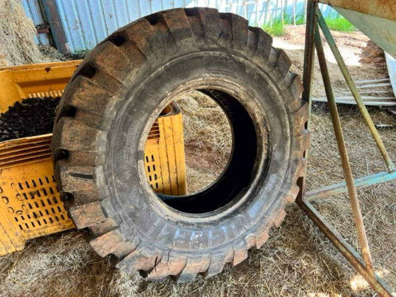 Lot 60 - Earthmoving Tyre | AuctionsPlus