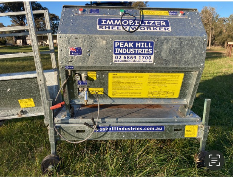 Lot 63 - Sheep handler | AuctionsPlus