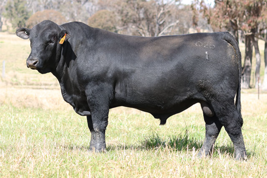 Lot 147 - PALGROVE RUSTIC (P) SV | AuctionsPlus