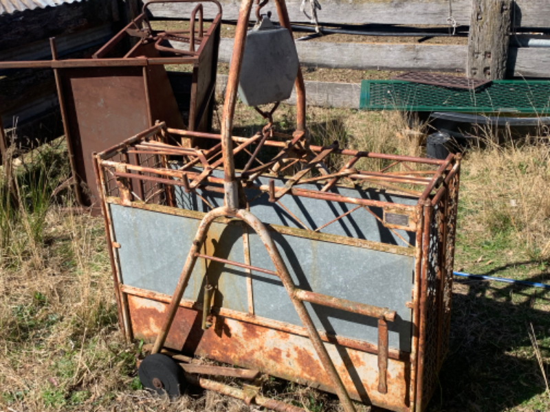 Lot 54 - SHEEP SCALES | AuctionsPlus